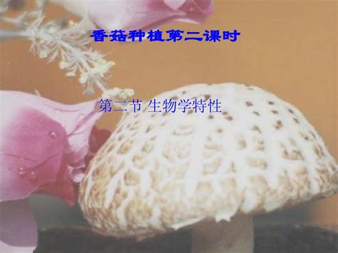 香菇栽培技术第二课时word文档在线阅读与下载无忧文档