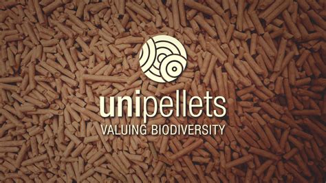 Energy Efficiency Of Pellets A Path Toward Sustainable Decarbonization