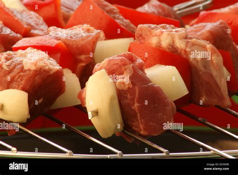 Some Home Made Shashlik On A Grill Stock Photo Alamy