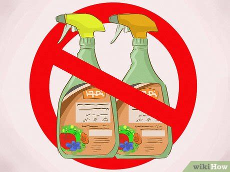 How To Start A Green Initiative At Babe With Pictures