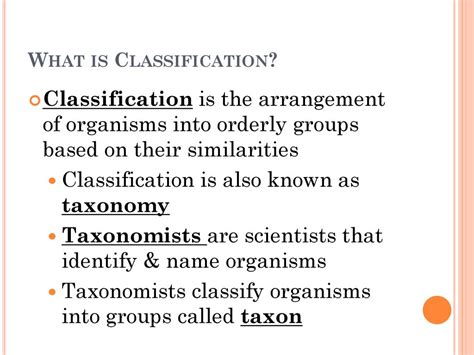 Why Do Scientists Use Classification Systems At Patricia Burns Blog