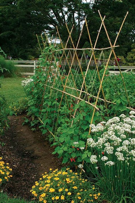 26 Easy And Cool Diy Bean Trellis Ideas Balcony Garden Web
