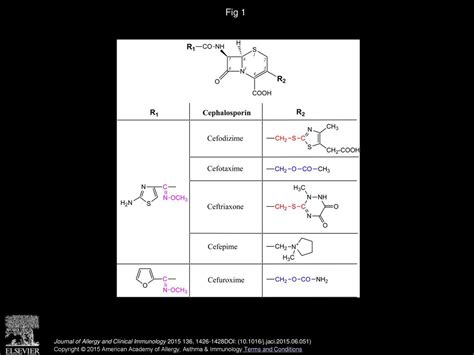 Allergenic Significance Of Cephalosporin Side Chains Ppt Download
