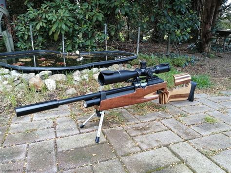 Steyr Lg Pcp Co Air De