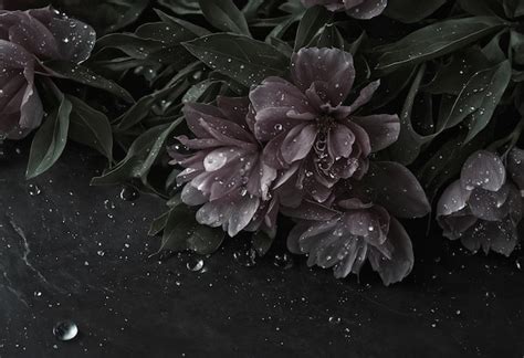 Dark Background Flower Images Free Download On Freepik