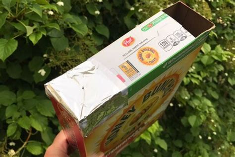 C Mo Hacer Un Proyector Casero Para Ver El Eclipse De Sol Y Evitar Da Os En Los Ojos Infobae