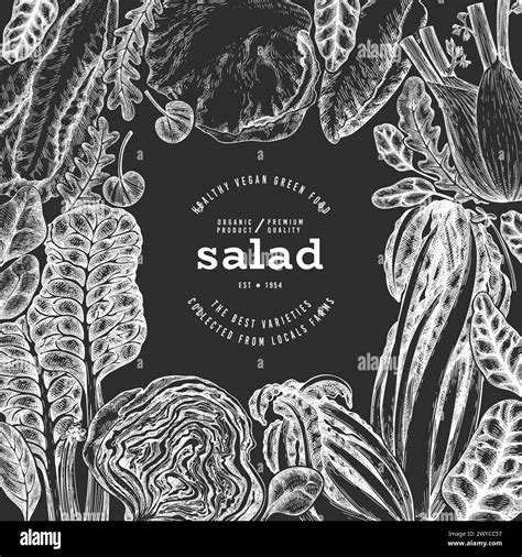 Green Vegetable Design Template Vector Hand Drawn Healthy Leaf Salad