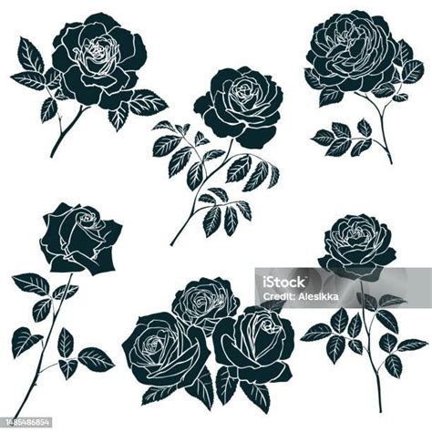 블랙 실루엣 로즈 장미에 대한 스톡 벡터 아트 및 기타 이미지 장미 벡터 가시 Istock