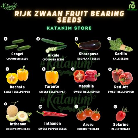 Katanim Fruit Bearing Seeds Collection 3 Rijk Zwaan Cucumber Eggplant