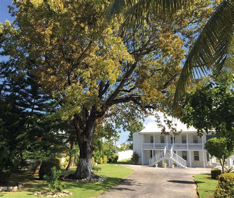 Magnificent Mahogany Cayman Compass