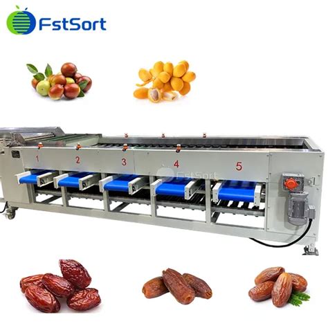 Fstsort Industrial Date Sorting Machine Date Sorting And Grading