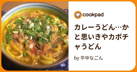 カレーうどんかと思いきやカボチャうどん By 平中なごん 【クックパッド】 簡単おいしいみんなのレシピが396万品