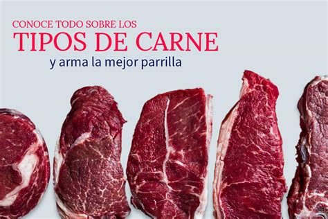Guia Completa De Los Cortes De Carne De Res Conoce Sus Tipos Y Usos