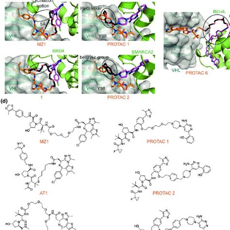 Structure Based Protac Linker Optimization Based On Ternary Complex