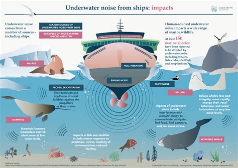 Infographic Underwater Noise From Ships Clean Arctic Alliance