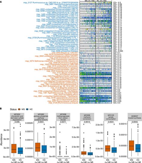 Contrasting Bacterial Species Metagenomics Species Mgs And
