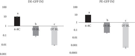 Expression Of The Oct4 Reporter System During Preimplantation Porcine