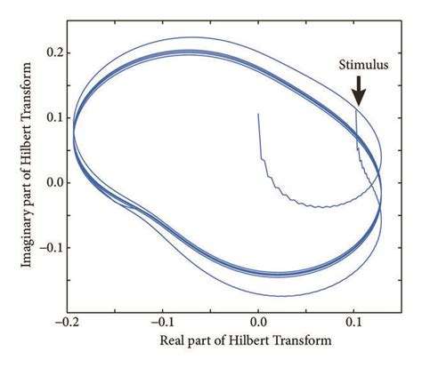 Analytical Signal From Hilbert Transform A A Typical Membrane Download Scientific Diagram