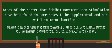 【英単語】motor Functionを徹底解説！意味、使い方、例文、読み方