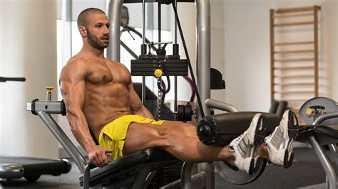 Four Way Hip Extension Machine