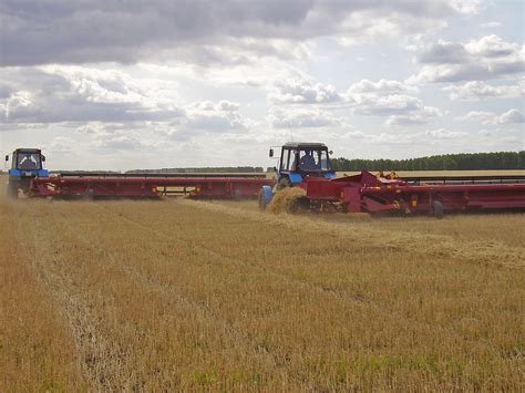 Swath Grain Headers