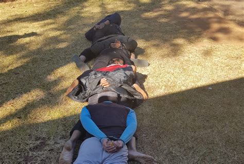 Undocumented Foreign Nationals Arrested In Polokwane Review