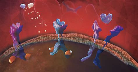Incorporating Scientific Advances Into Myelofibrosis Treatment Plans