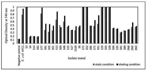Optimization Of Medium For Biofilm Formation Nbnutrient Broth