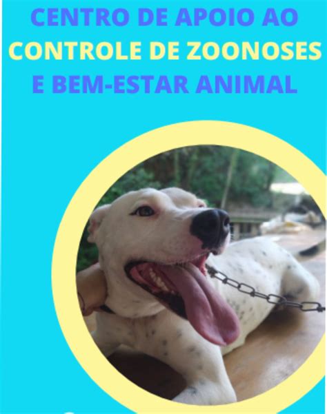 Acadêmica Faz Tcc Sobre Trabalhos Do Centro De Zoonoses Prefeitura De