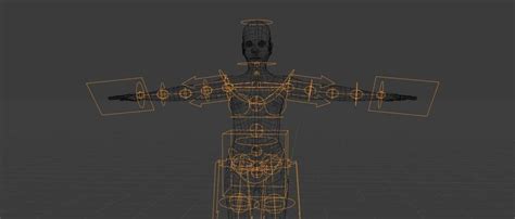 Everything You Need To Know About D Animation Rigs In Minutes