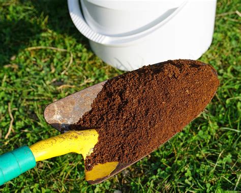Homemade Tomato Fertilizer Powerful Natural Recipes Gardening Know How