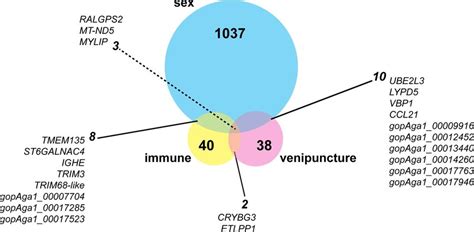 Venn Diagram Of Shared Differentially Expressed Genes Among Sex