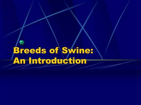 PPT Breeds Of Swine An Introduction PowerPoint Presentation Free