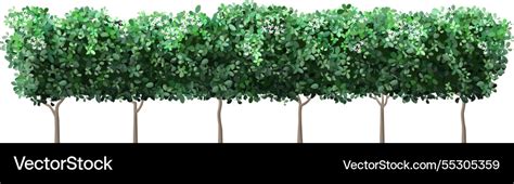 Pruning Vector Images Over 8 300