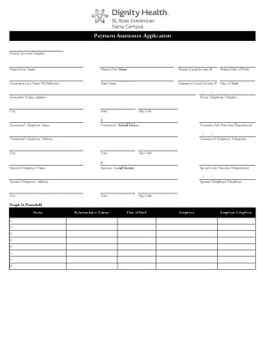 Fillable Online Dignityhealth Payment Assistance Application Patient
