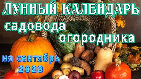 🌙ЛУННЫЙ КАЛЕНДАРЬ САДОВОДА И ОГОРОДНИКА 🍅НА СЕНТЯБРЬ МЕСЯЦ🌕 Youtube