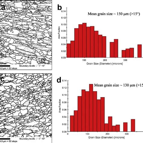 The Initial Microstructure And Grain Size Distribution After 4 Ecap