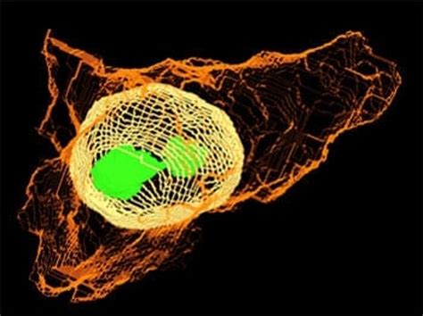 X Ray Diffraction And Spectroscopy