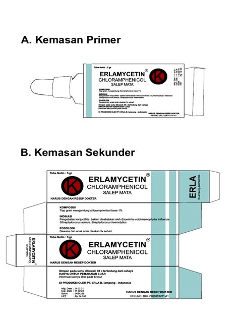 Kemasan Sedian Steril Pdf