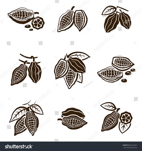 Cocoa Beans Set Pod Leaves On Stock Vector Royalty Free 684142057 Shutterstock