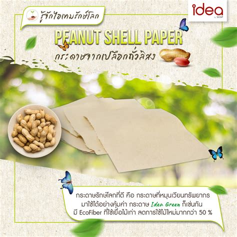 Idea Paper 🥜 ไอเดียจากความยั่งยืน รู้จักไอเทมรักษ์โลก