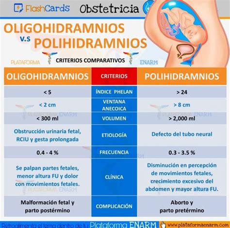 Pin On Obstetricia