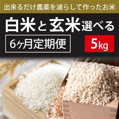 米・パン ジャンル 行方市ふるさと納税特設サイト