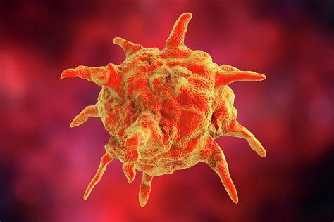 Viruses Of Different Shapes Photograph By Kateryna Kon Science Photo