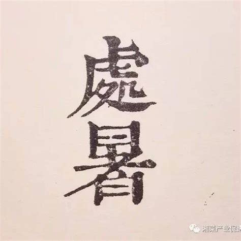 今日处暑：天热晚来秋植物