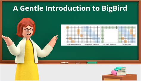 An Introduction To Bigbird Analytics Vidhya