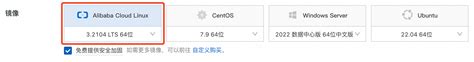 在ECS上如何使用AC2镜像 Alibaba Cloud Linux Alinux 阿里云帮助中心
