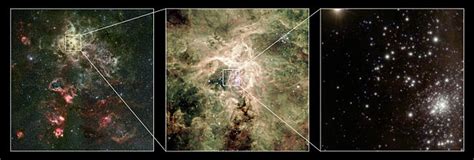 Descubren La Estrella Más Masiva Del Universo Explora Univision