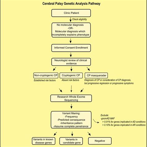 Research Pipeline For Exome Sequencing Analysis In This Cohort [colour
