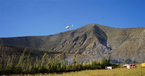 Monte Patria Tres Hectáreas Consumidas Por Incendio Forestal En